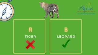 Identify the animals | PDF