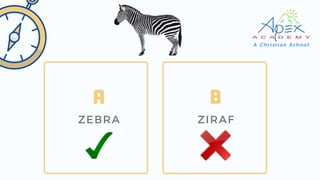 Identify the animals | PDF