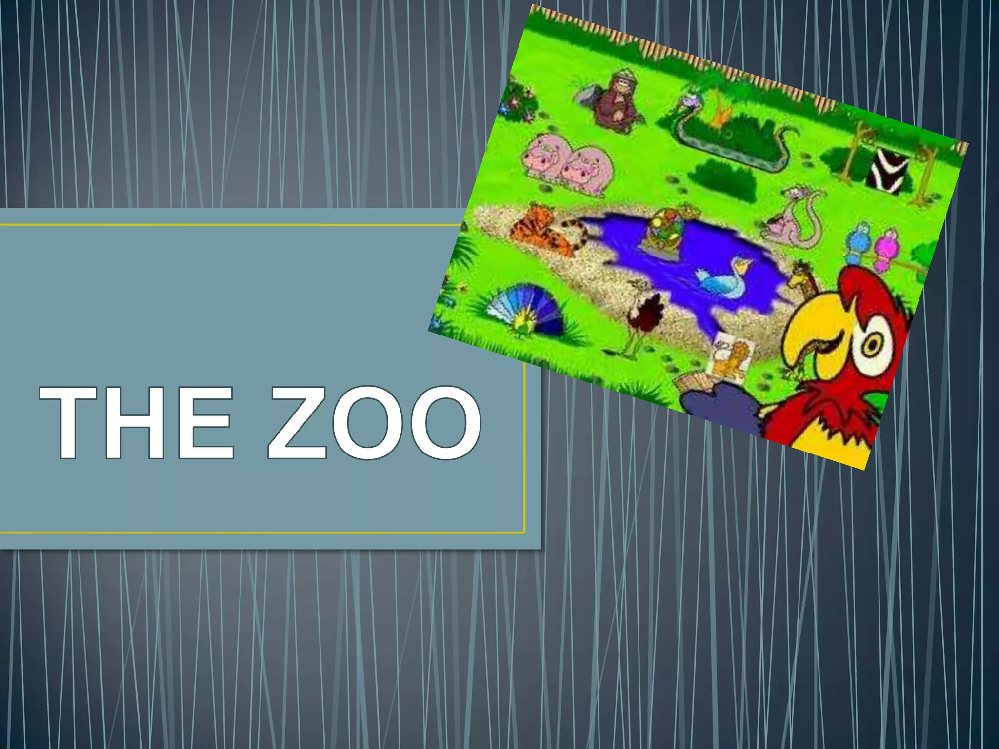 At the zoo!! | PPTX