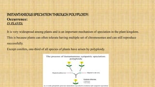 Instantaneous speciation thrugh polyploidy | PPT