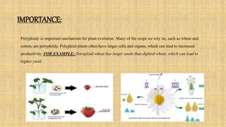 Instantaneous speciation thrugh polyploidy | PPT