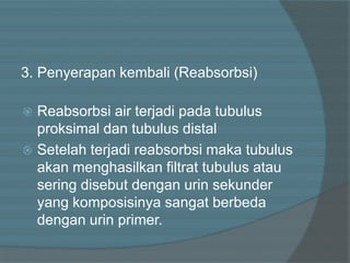 Pembentukan urin dan mikronutrisi | PPT