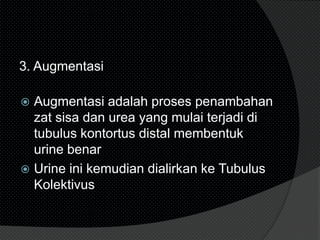 Pembentukan urin dan mikronutrisi | PPT