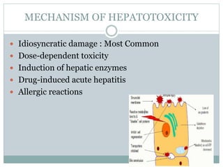 ATT DRUGS INDUCED HEPATITIS Seminar.pptx