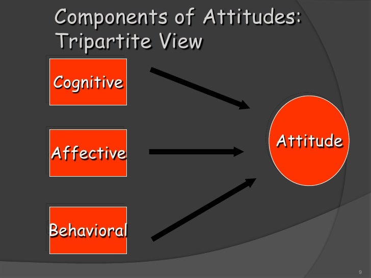 Attitude Measurement & Organizational Assessment: What You Should Know ...