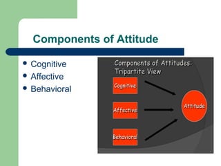 Attitude | PPT | Science
