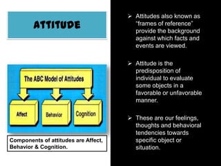 Attitude: A Marketing Perspective | PPTX