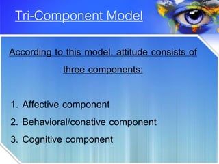 Consumer Behaviour-Attitude, Tri module of attitude, Multi attribute ...