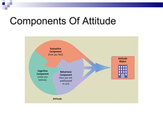 Attitude | PPT
