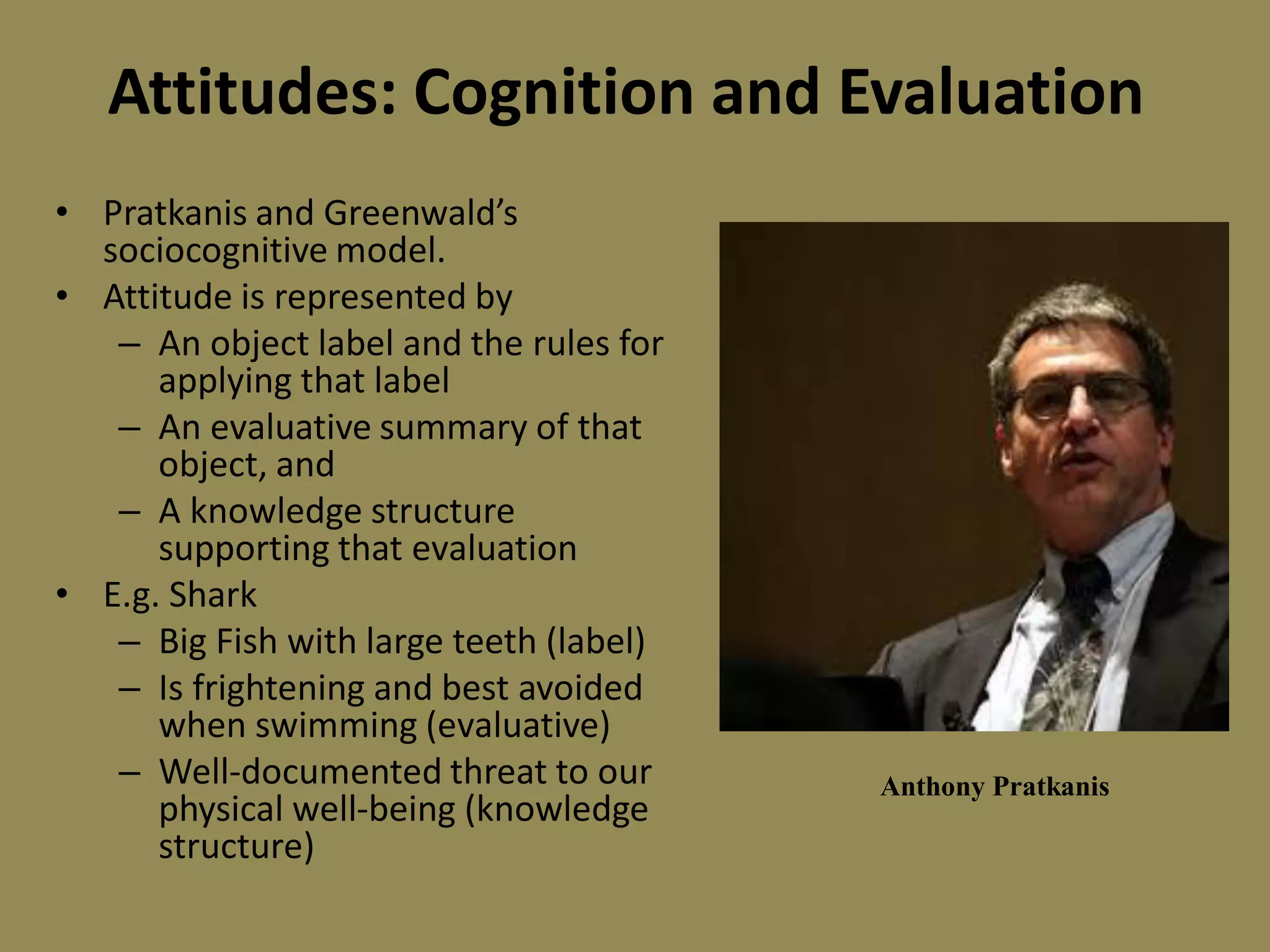 Attitude Formation and Change | PDF