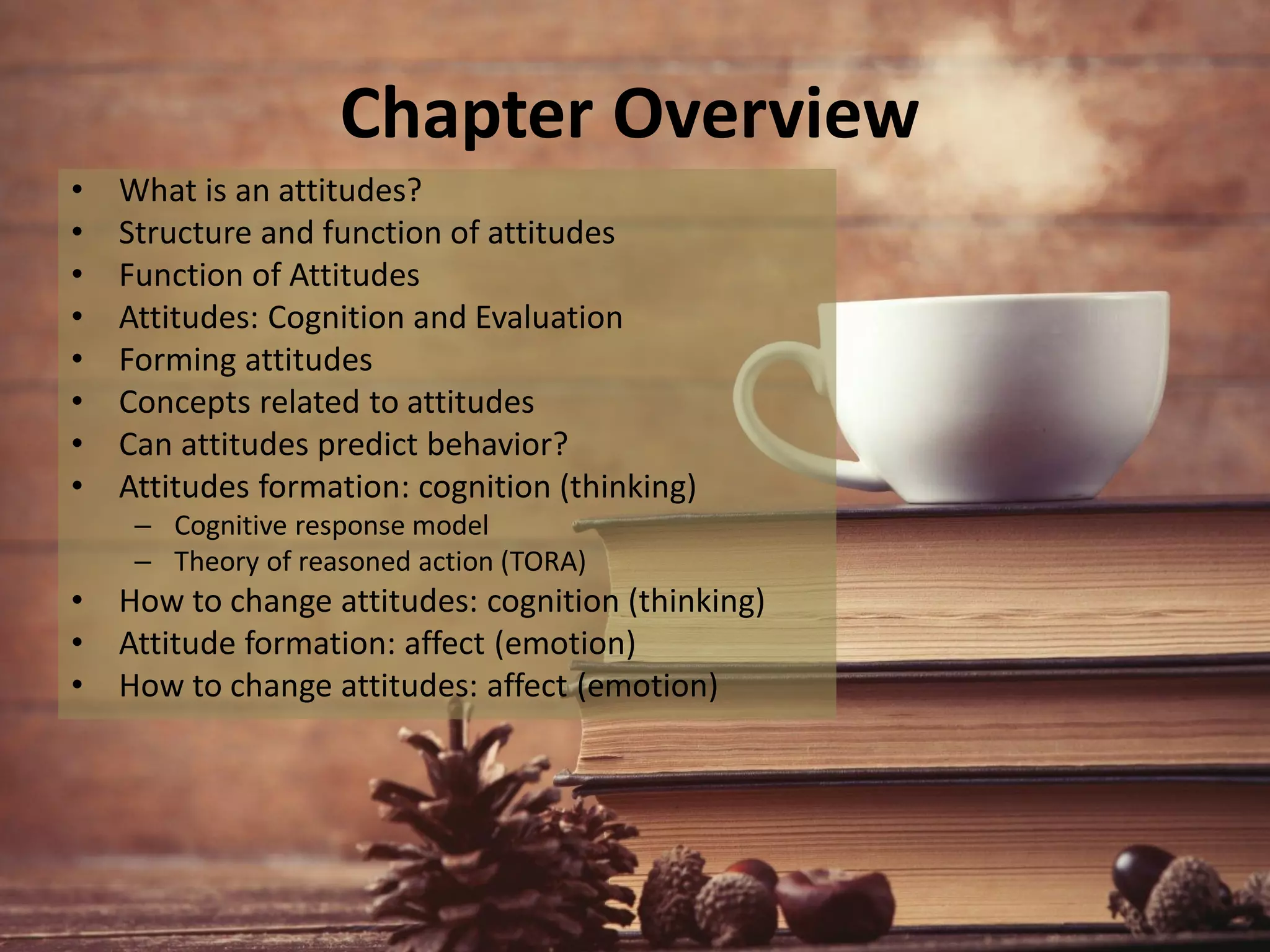 Attitude Formation and Change | PDF