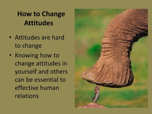 Attitude Formation and Change | PDF | Science