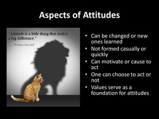 Attitude Formation and Change | PDF