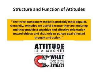 Attitude Formation and Change | PDF