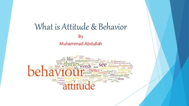 Attitude and behavior