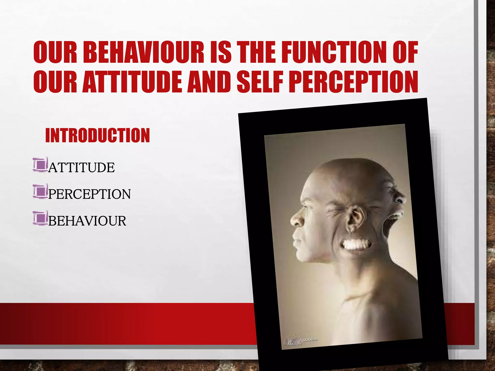 Attitude and perception | PPTX