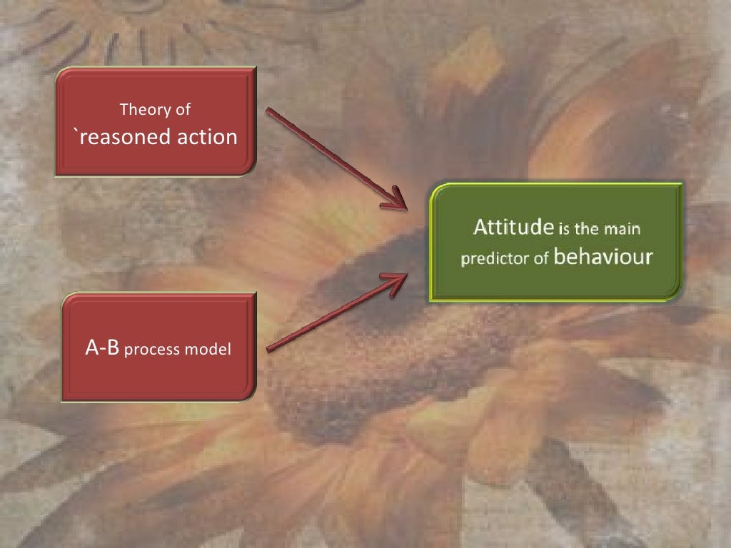 Attitude & Behaviour