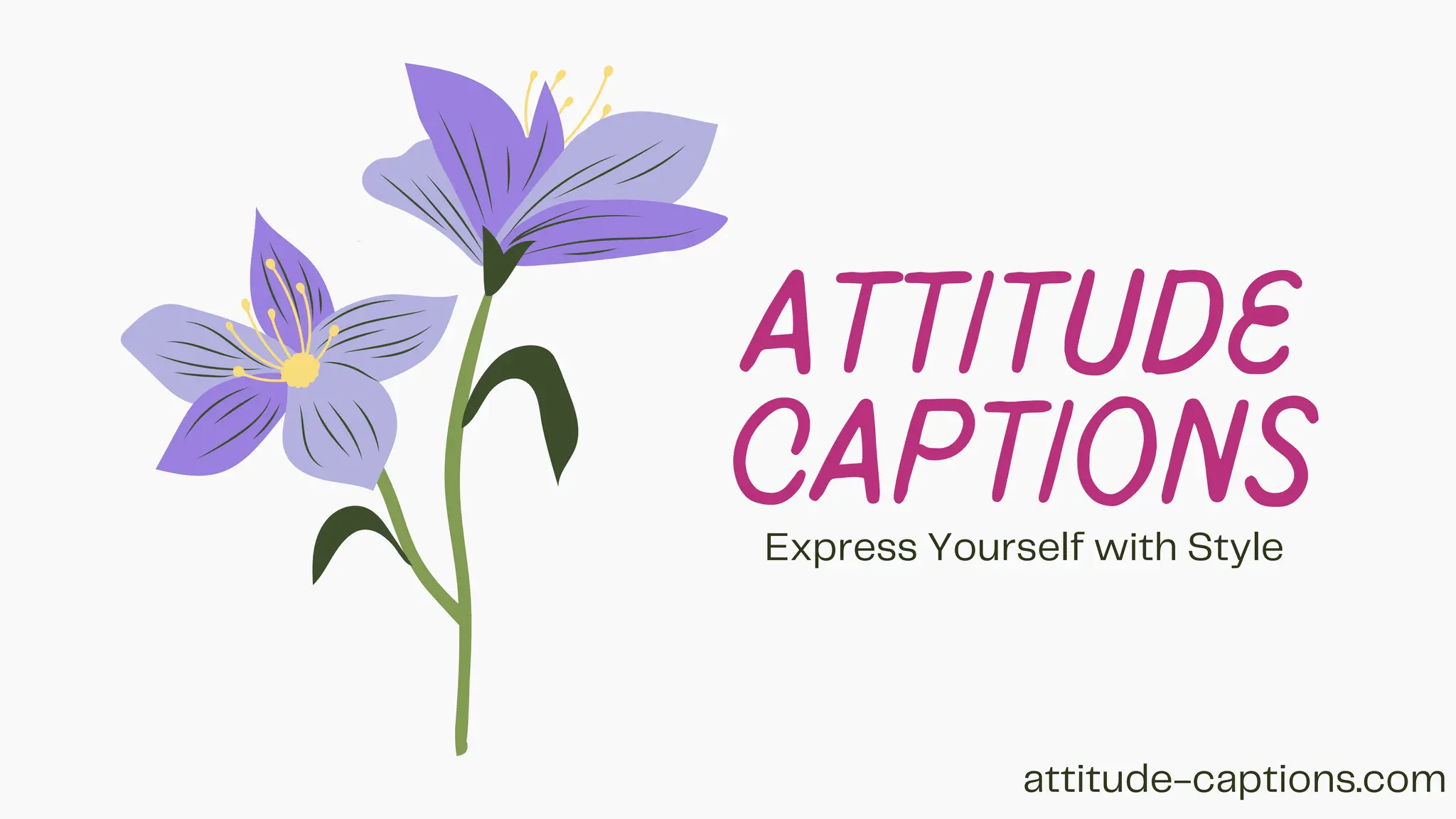 Attitude captions.pdf