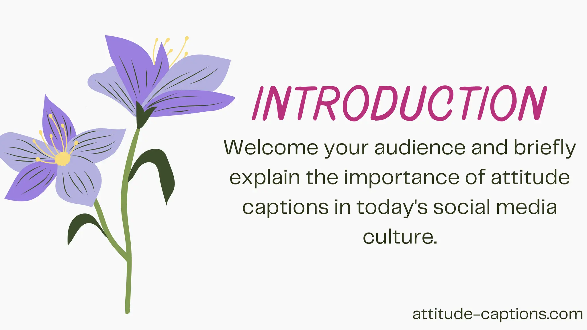 Attitude captions.pdf