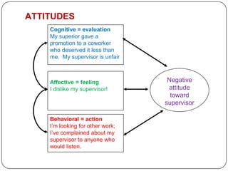 Attitude & effects | PPTX | Human Resources | Business