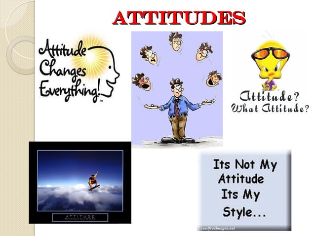 Attitude Individual behaviour in organisational behaviour.ppt