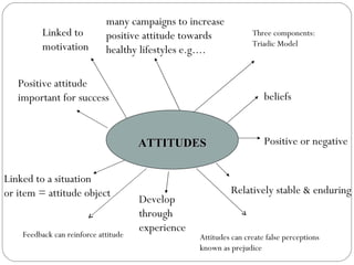 Attitude revision | PPT