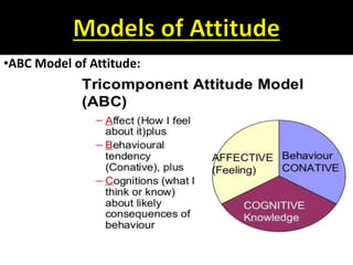 Attitudes - Organisational Behaviour | PPTX