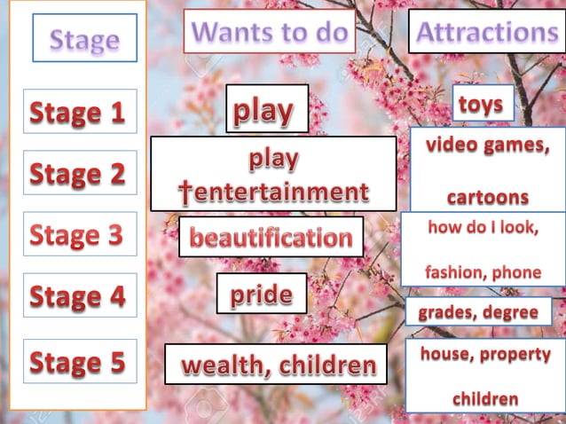 Attractions and Distraction | PPT