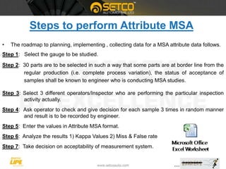 Attribute MSA | PPTX