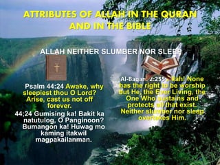 Attributes of Allah in the Quran and in the Bible | PPT