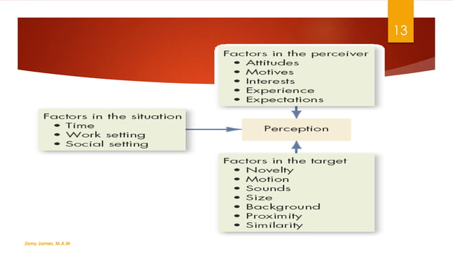 Attribution theory of perception | PPTX | Science