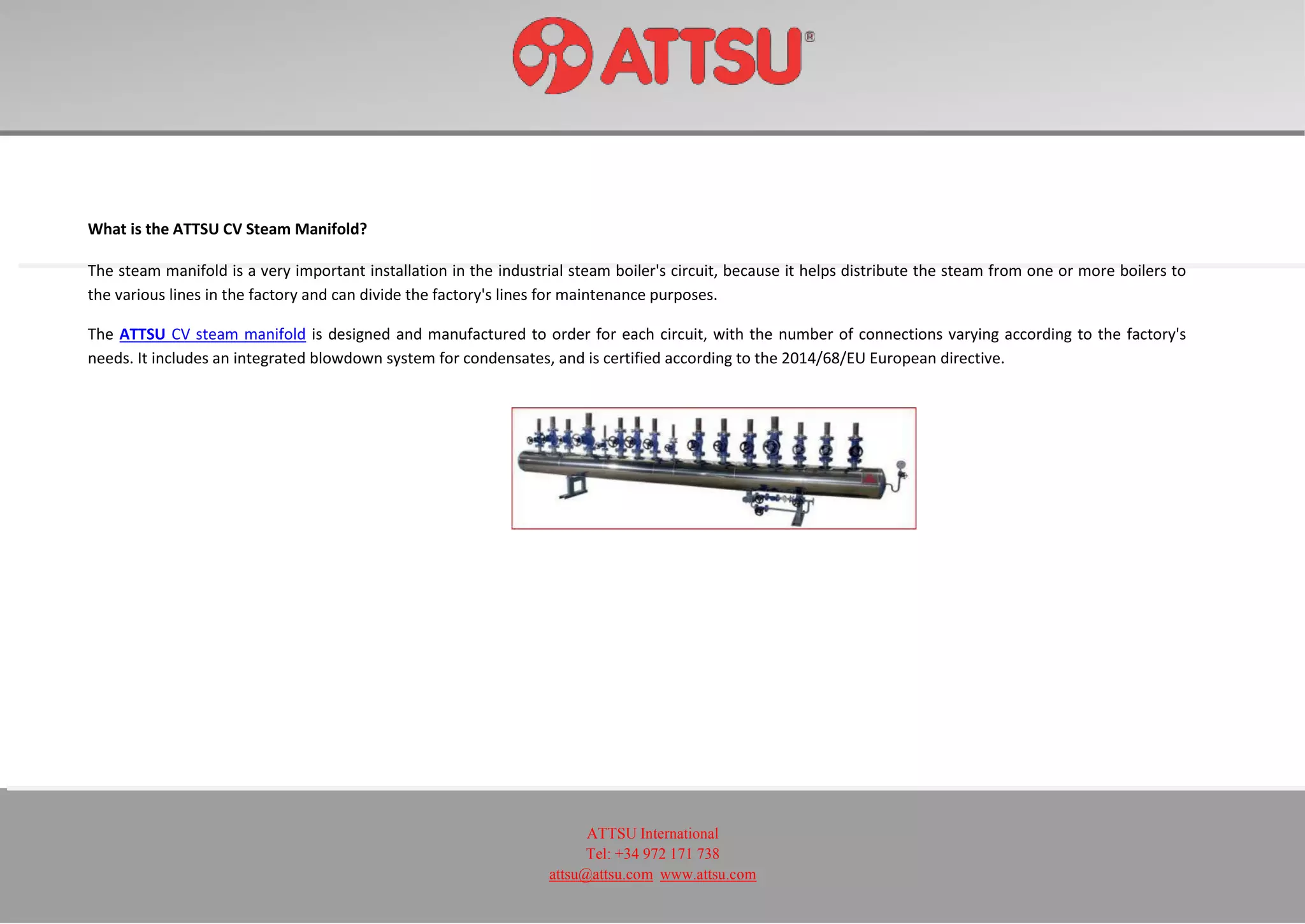 Attsu industrial steam boilers january 2021 | PDF