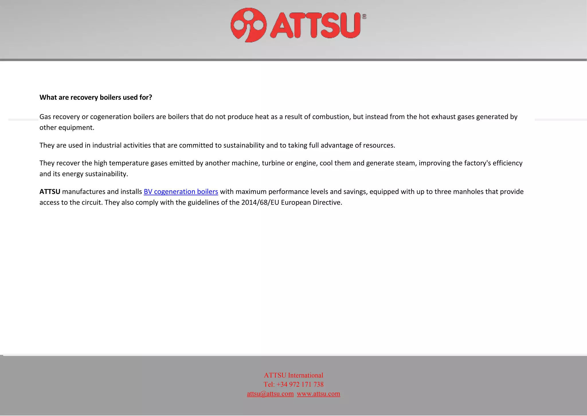 Attsu industrial steam boilers january 2021 | PDF