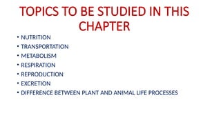 Life processes - part 1 ( nutrition in plants and animals) | PPTX
