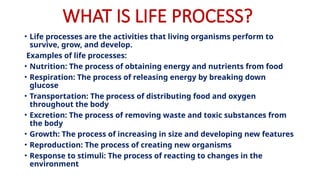 Life processes - part 1 ( nutrition in plants and animals) | PPTX