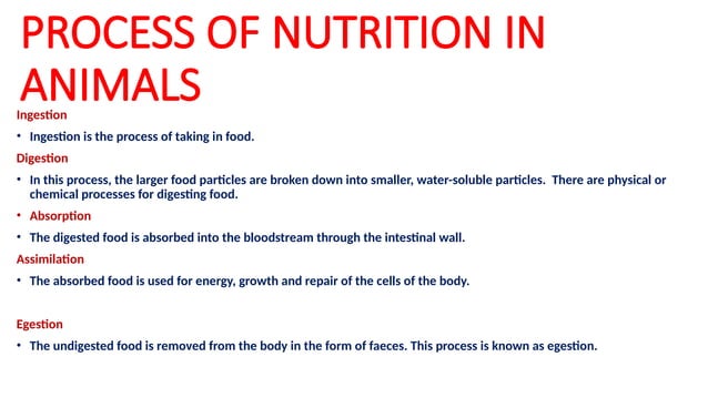 Life processes - part 1 ( nutrition in plants and animals) | PPTX