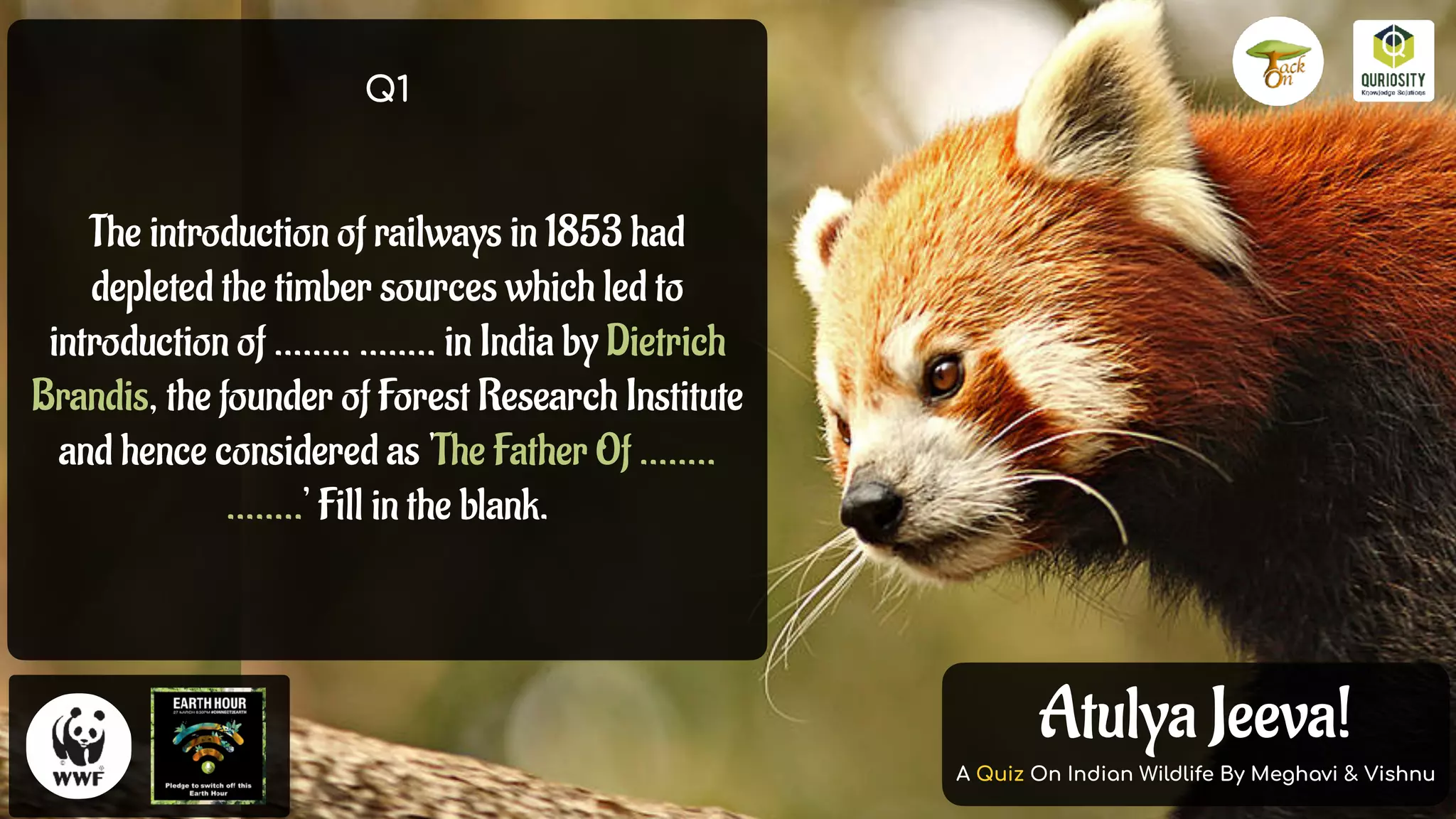 Atulya Jeeva Teaser Quiz | WWF India | Meghavi & Vishnu | PDF