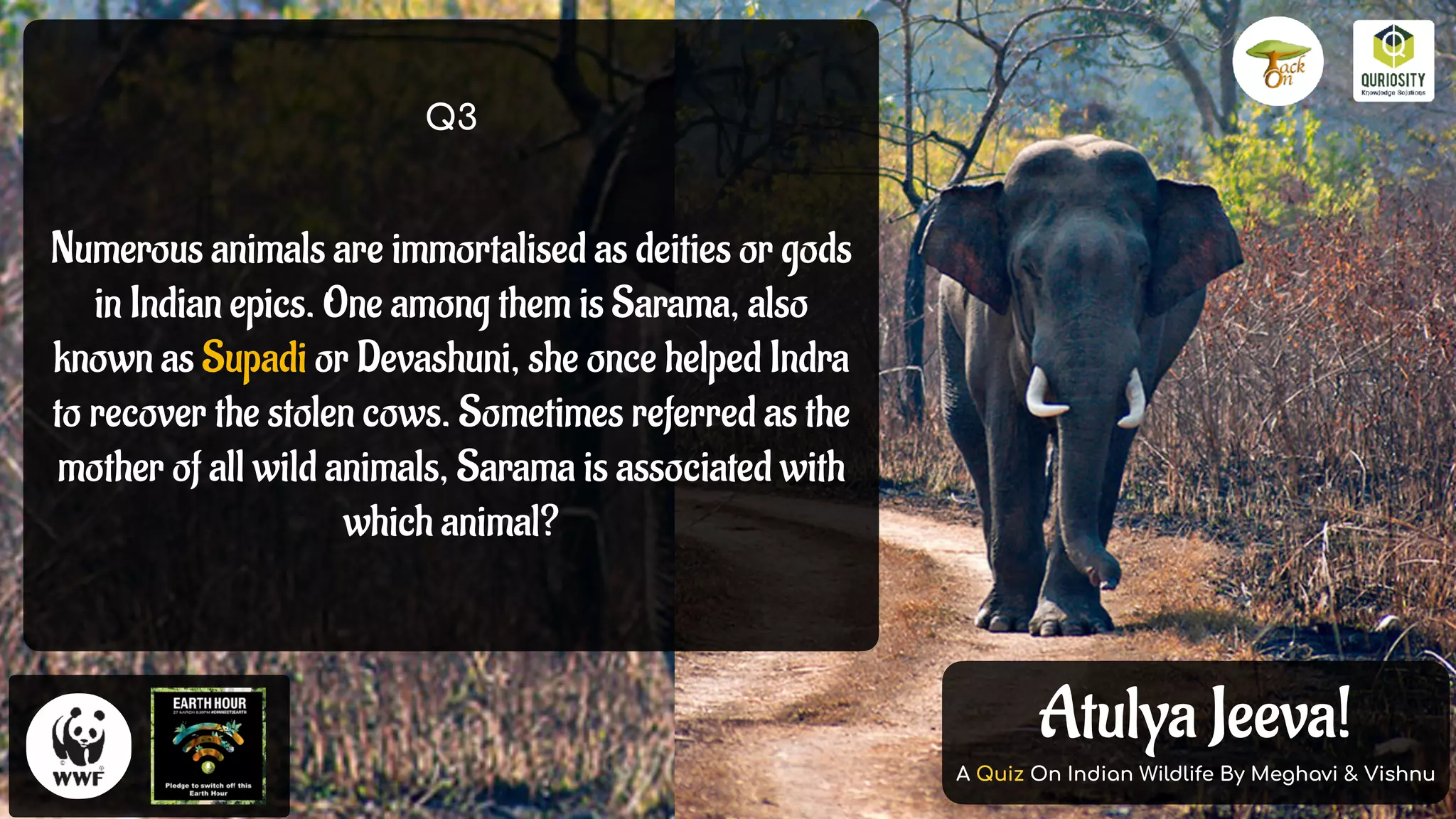 Atulya Jeeva Teaser Quiz | WWF India | Meghavi & Vishnu | PDF