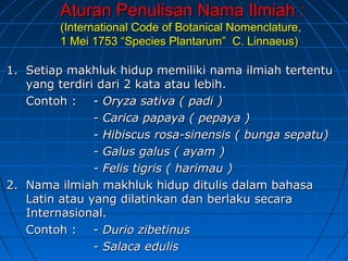 Aturan binomial nomenclatur | PPT