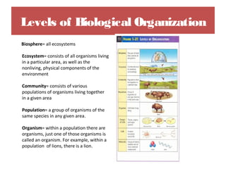 Atv what is biology | PPT