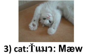 at word family animated powerpoint for preschool students | PPTX