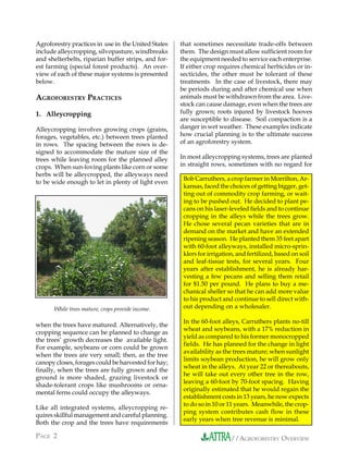 Agroforestry Overview | PDF