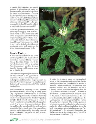 Ginseng, Goldenseal, and Other Native Roots | PDF