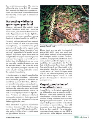 Herb Production in Organic Systems | PDF