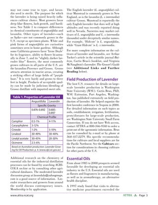 Lavender Production, Products, Markets, and Entertainment Farms | PDF