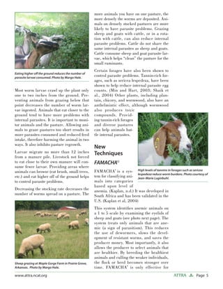 Managing Internal Parasites in Sheep and Goats | PDF