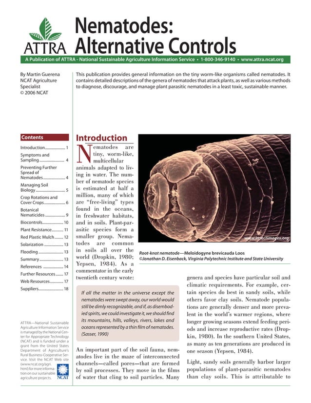 Nematodes: Alternative Controls | PDF