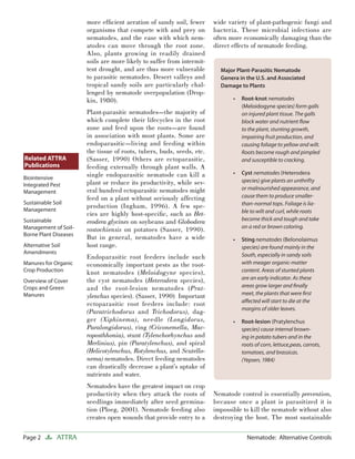 Nematodes: Alternative Controls | PDF