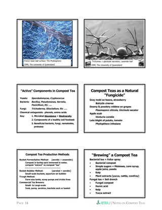 Notes on Compost Teas | PDF