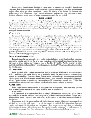 Organic Asparagus Production | PDF